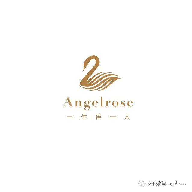 Angelrose//陈松伶张铎:“丁克”家族里的深情-搜狐大视野-搜狐新闻