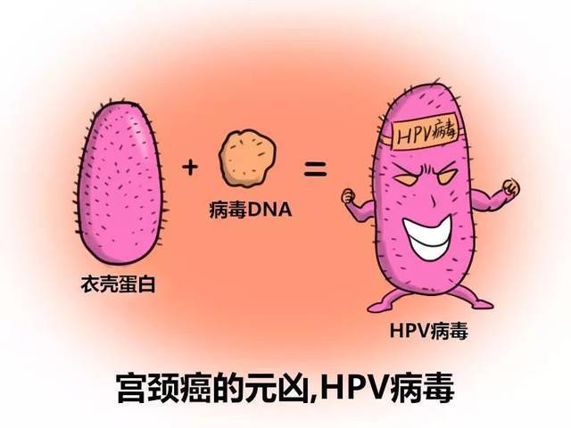 接种hpv疫苗后有产生抗体吗？ 检测