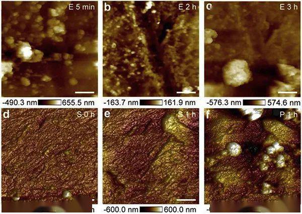中科院化学研究所Nano Energy: 原位AFM揭示金属锂表面SEI演化及LiNO3添加剂调控机制_wt