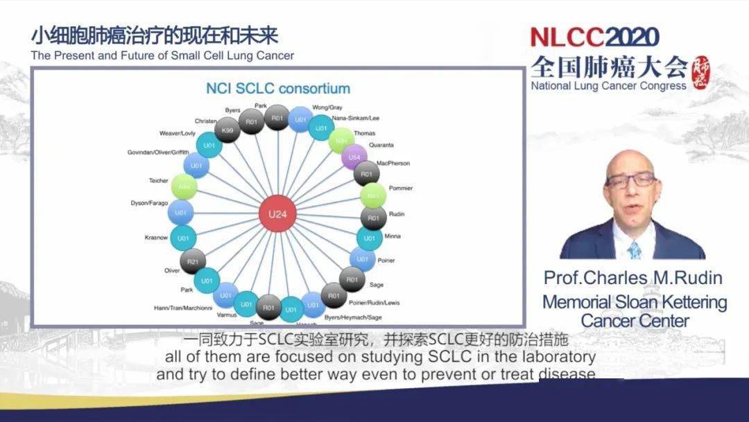 免疫靶向多源并进，开启肺癌治疗新时代 | 全国肺癌大会（NLCC 2020）顺利召开-搜狐大视野-搜狐新闻