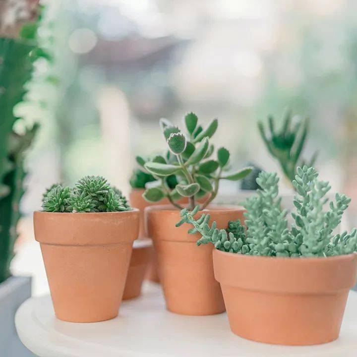 保研经验：北方末流211，夏令营没拿到理想OFFER，预推免逆袭理想985！（获得十几所院校的录取资格）-搜狐大视野-搜狐新闻