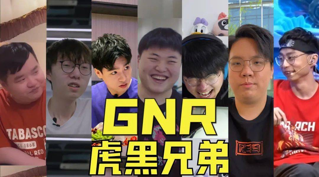 2020德杯新增主播队！GNR“全服武装”重返职业有望迎战RNG_战队
