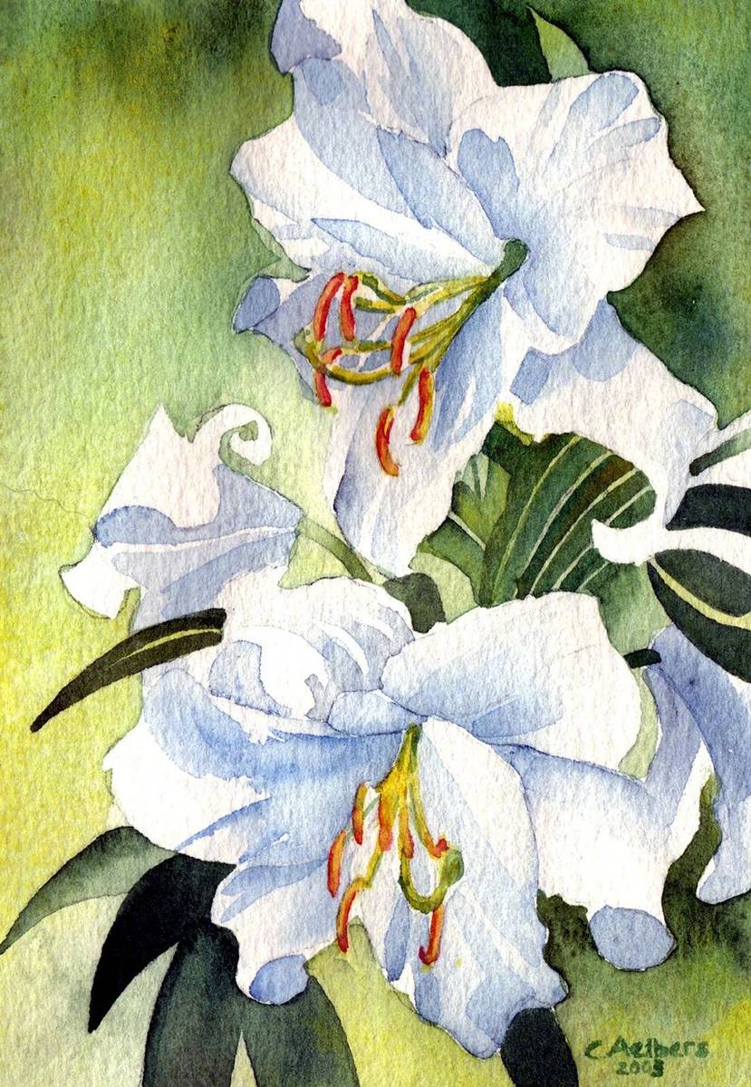 来自画家 Marlies Merk Najaka 水彩作品 欣赏-搜狐大视野-搜狐新闻