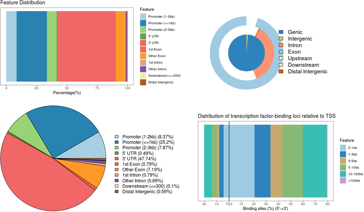 使用R包ChIPseeker实现对ChIP-seq peaks的注释_bed