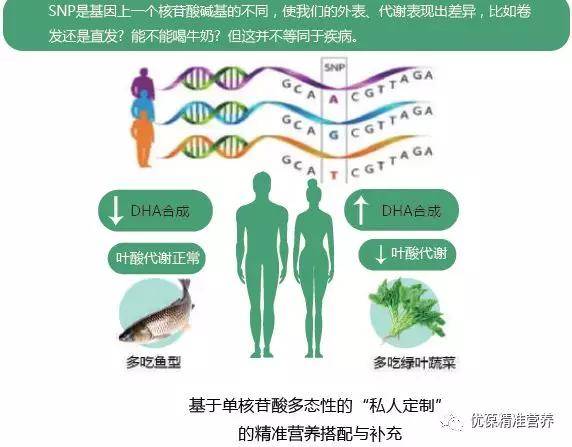 基因解读 | 吃香菜=啃肥皂？OR6A2让你闻到肥皂味儿_香味