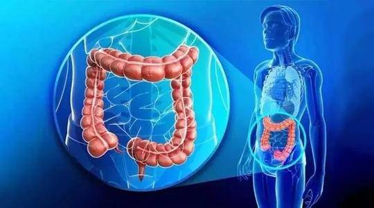 结肠癌4个不能吃，一定要记住，不要乱吃了_患者