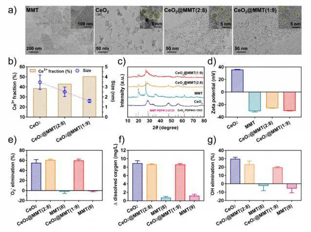 【AFM】南大魏辉教授：可口服CeO2@MMT纳米酶用于靶向治疗小鼠炎症性肠病_结肠
