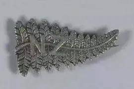 厉害了！BLIS 荣获新西兰国家级品质—FernMark 银蕨认证-搜狐大视野-搜狐新闻