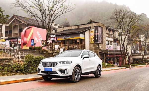 WEY VV5凭何得95后小伙pick？网友：IQ爆表是关键_搜狐汽车_搜狐网