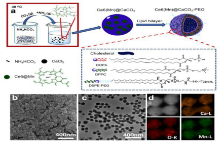 光敏剂Ce6经PEG改性或偶联糖、药物、磷脂、蛋白、等无机纳米材料_卟吩