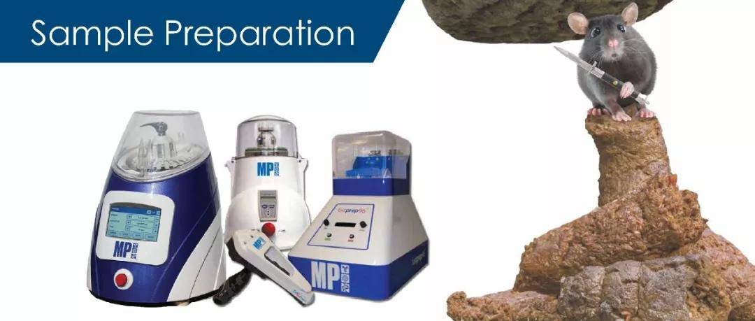 FastPrep样本制备解决方案_裂解