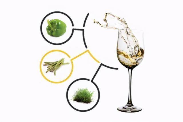 吡嗪：葡萄酒中青椒风味的来源_含量