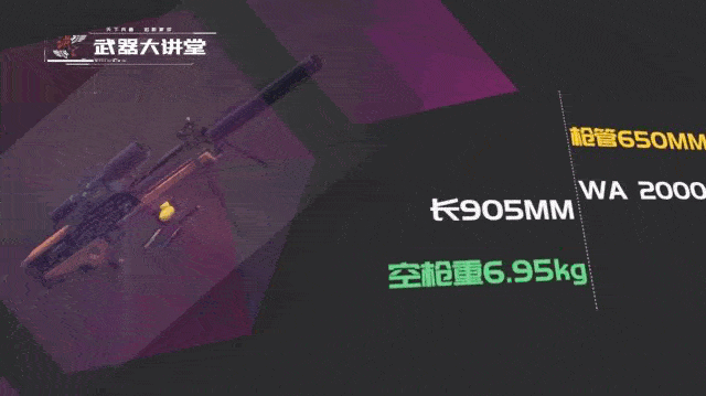 正宗德国货，售价50多万，精度奇高的WA2000无托狙击步枪 -6park.com