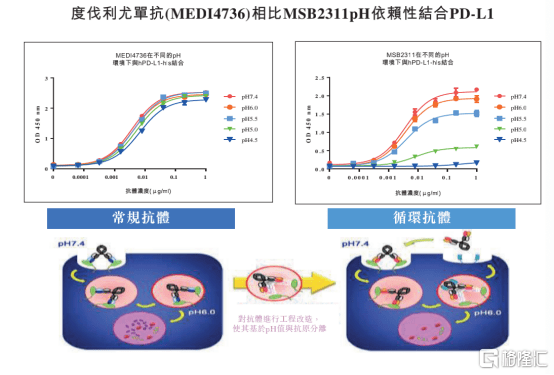创胜集团通过聆讯，临床新药研发助力资本之路_肿瘤