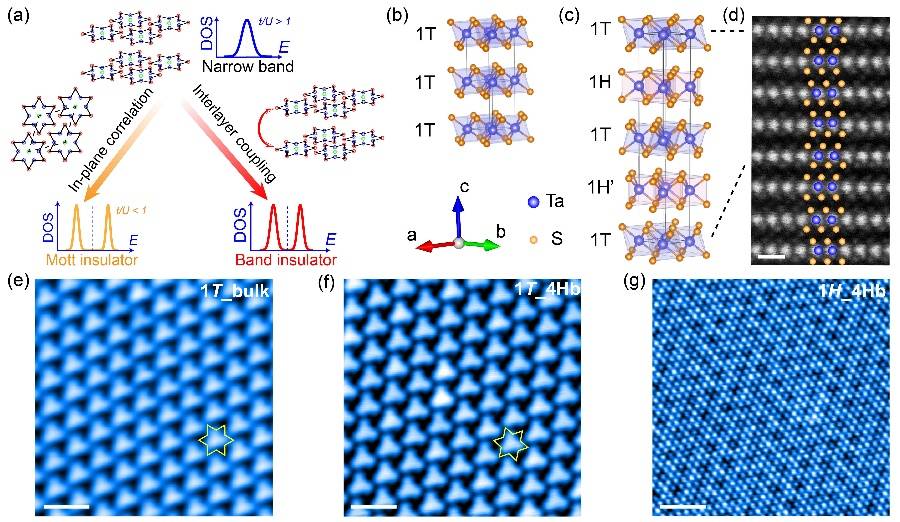 上海科大颜世超课题组在层状材料电子结构机理方面取得重要进展_Hb-TaS