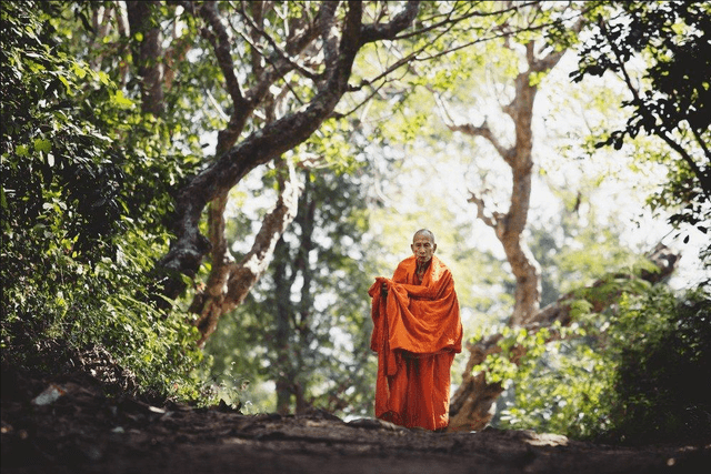 摄影学习_光影下的人间百态 | 摄影师Roger Stonehouse_陈阅摄影课堂_照片