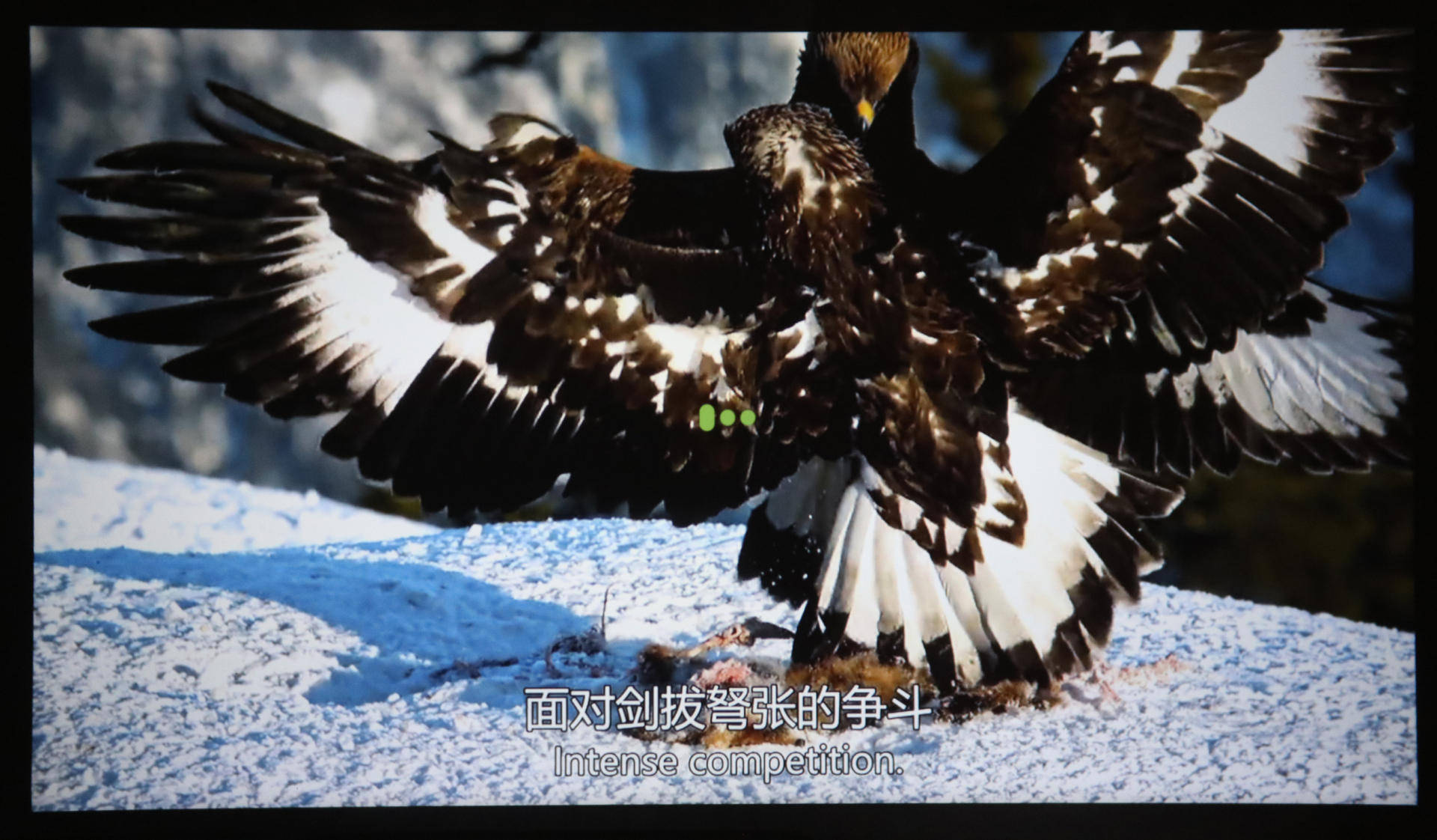 泰捷首款投影来袭，WEBOX T1画质媲美3000元投影_视频