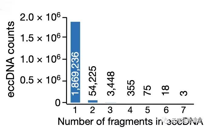 哈佛+Nature | 半个世纪的等待：eccDNA 三大关键问题答案全揭晓！_纯化
