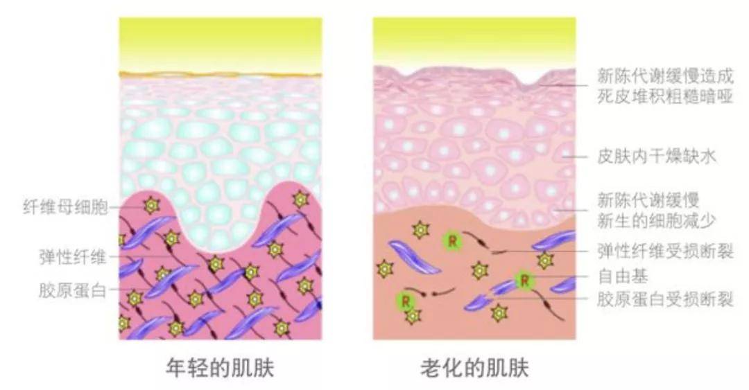 抗衰真相！为啥这些顶级女神的27岁到45岁全都凭空消失？_aump_面部_May