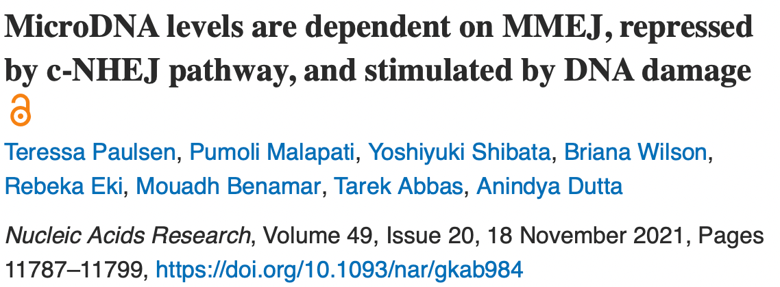 福利包 | 一文看遍 2021 年 eccDNA 研究精华_Nature_云序_论文