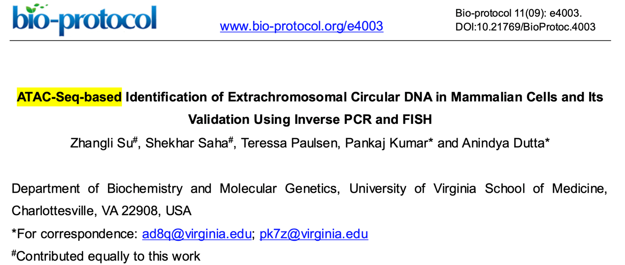 福利包 | 一文看遍 2021 年 eccDNA 研究精华_Nature_云序_论文