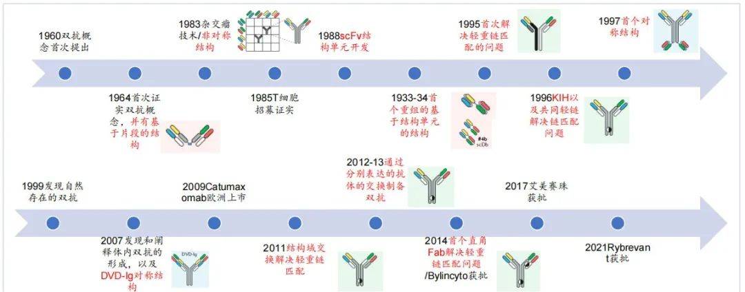 Nature：抗肿瘤双抗药物研发现状_上市_抗体_治疗