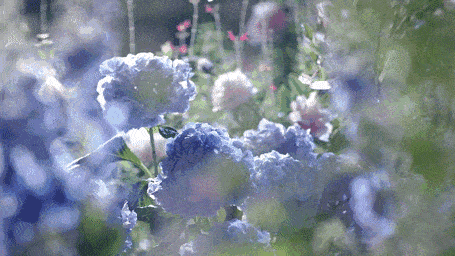 91大神“夯先生”刑事判决书解读稿_王笑雷_杨博文_被告人