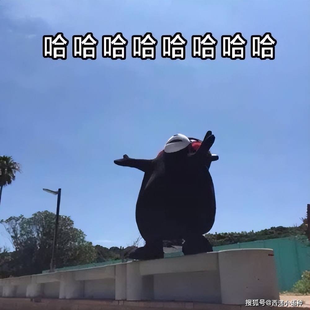 h在法语中不发音，那法国人是如何（hahah~哈哈哈~）笑的呢？_rire_hahaha_une