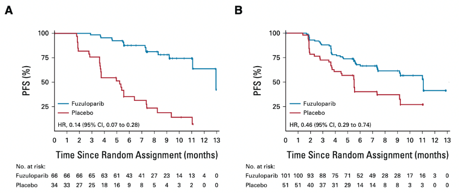 FZOCUS-2研究见刊JCO，铂敏感复发性卵巢癌使用氟唑帕利维持治疗显著改善PFS_化疗_患者_反应
