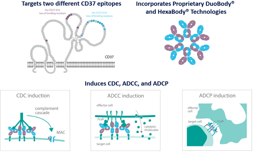 靶向CD37的药物研发现状_细胞膜_抗体_治疗