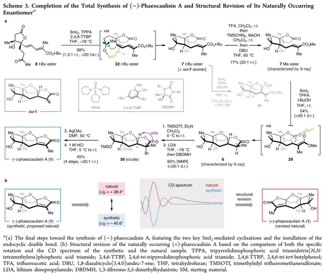 二碘化钐介导的环化反应：(−)-Phaeocaulisin A的首次全合成_化合物_Figure_Chem