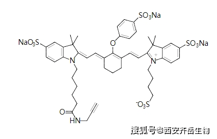 近红外荧光染料IRDye 800CW Alkyne/azaids/DBCO，炔基/叠氮/二苯基环辛炔_标记_层粘蛋白_分子