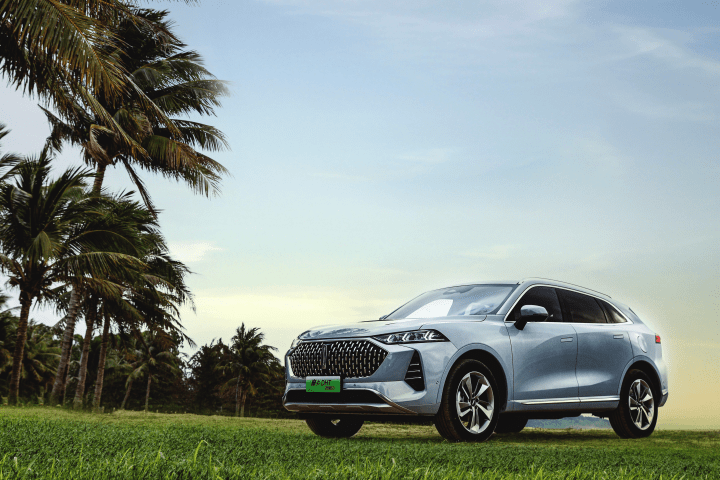 开启全场景0焦虑的G318之旅，魏牌摩卡DHT-PHEV挑战全新记录_搜狐汽车_搜狐网