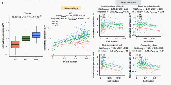 单细胞联合还能这样玩，单细胞和EQTL联合分析确定疾病机制和潜在的治疗方法_基因组_scATAC_研究