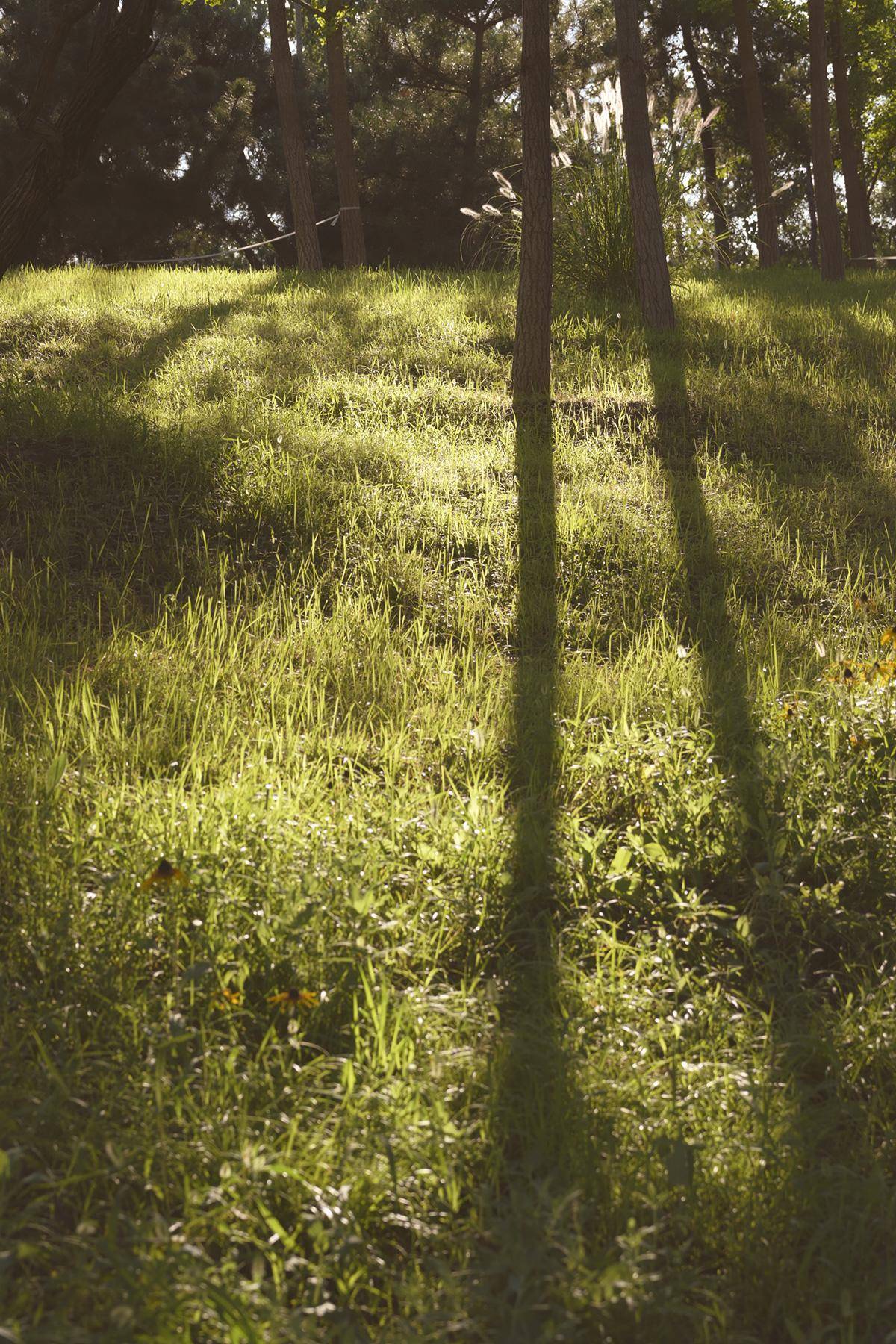 尼康Z30拍摄体验：滤镜掌握难度较高，配合丰富镜头会有好效果_评价_mm_屏幕