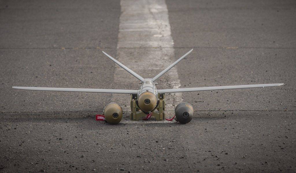 波兰“战友”（WARMATE）巡飞弹_弹头_无人机_飞行阶段