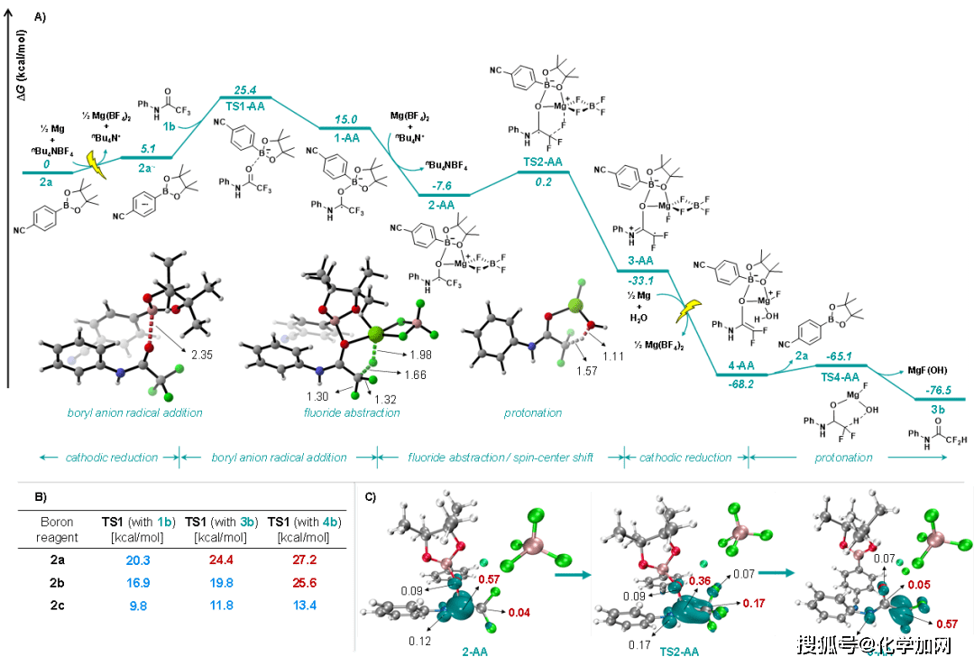 Angew：电化学条件下有机硼试剂调控的选择性脱氟反应_研究_烷基_策略