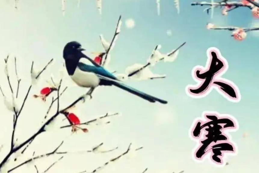 今日大寒！大寒除夕春节 喜相连”寒冬厉疾节气