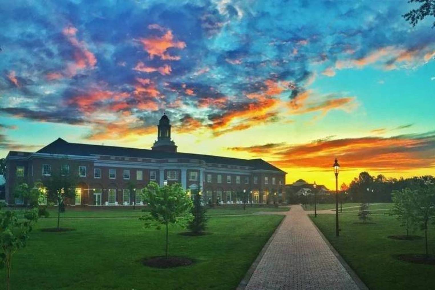 美国大学校园美景大赏！有你的梦校吗？_建筑_植物园_森林