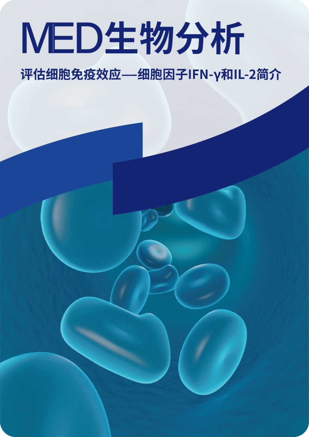 Med生物分析 评估细胞免疫效应——细胞因子ifn γ和il 2简介 诱导 反应 调节