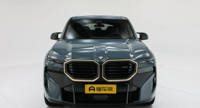 售230万元！宝马XM正式上市，零百加速4.3s，纯电续航78公里_搜狐汽车_搜狐网