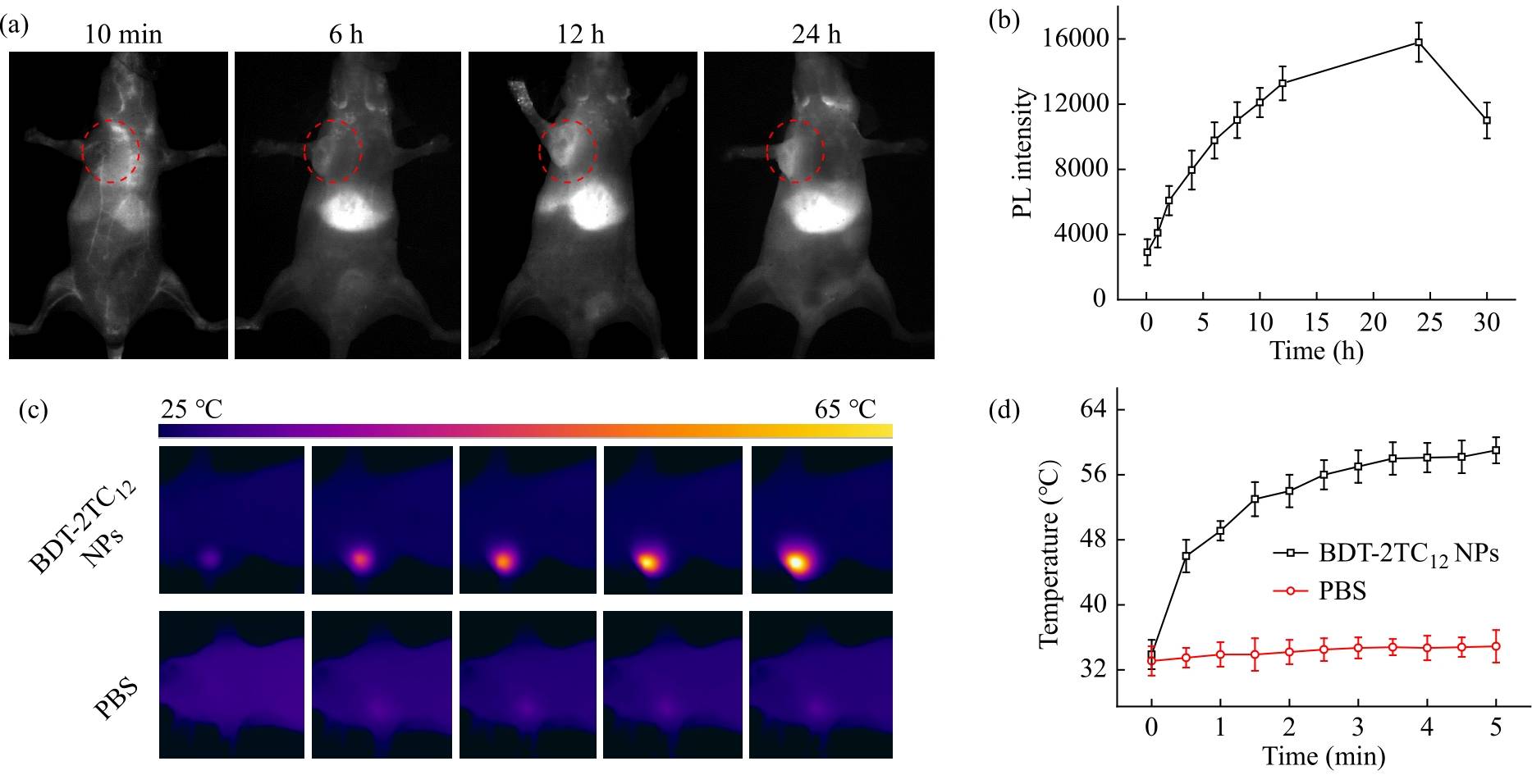 【NIR-II近红外二区成像】NIR-II近红外二区成像-三元共聚物光热治疗肿瘤_nm_in_to