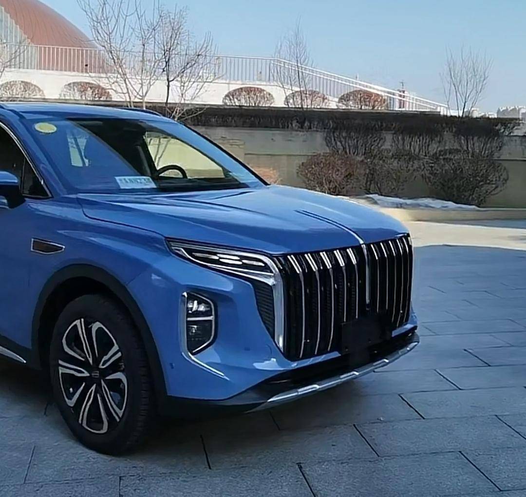 5/6/7座可选 红旗HS6实车曝光 搭载2.0T发动机_搜狐汽车_搜狐网