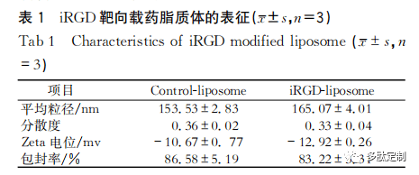 iRGD靶向载药脂质体-微泡复合物的制备及其靶向性研究_药物_公司_超声