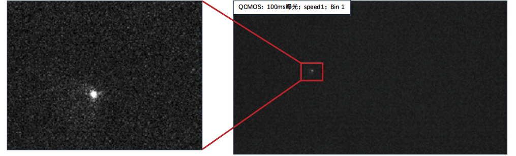 成像案例——滨松高速高灵敏度·背照·定量qCMOS相机