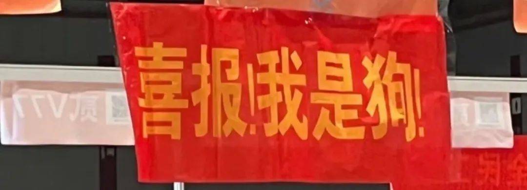 20万二次元攻占上海！CP29漫展横幅大赏！_浓度_全国_感觉