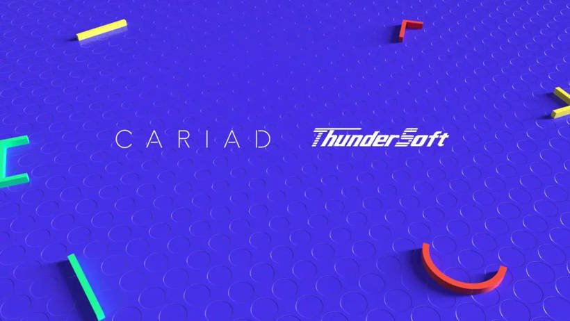 CARIAD的“灵魂”交给了谁？_搜狐汽车_搜狐网