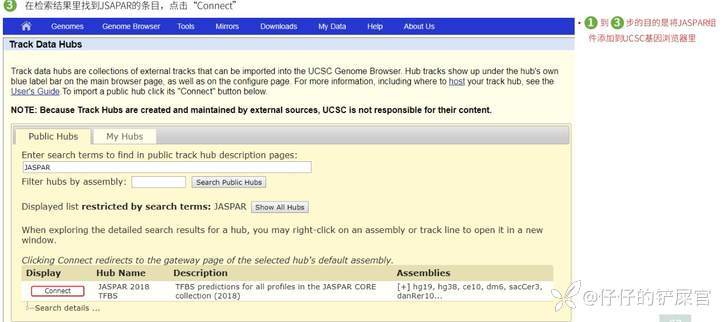 【科研工具包】转录因子预测及优化策略 ——JASPAR、NCBI、UCSC数据库联用_基因_序列_位点