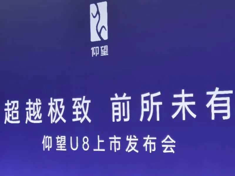 锚定三大价值创新，仰望U8挺进国产越野无人区_搜狐汽车_搜狐网