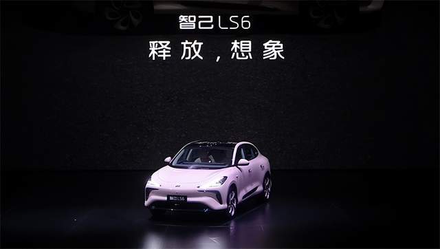 比肩百万豪车 售价仅21.49万起 智己LS6正式上市_搜狐汽车_搜狐网